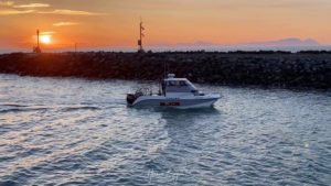 Home | Hermanus Tourism