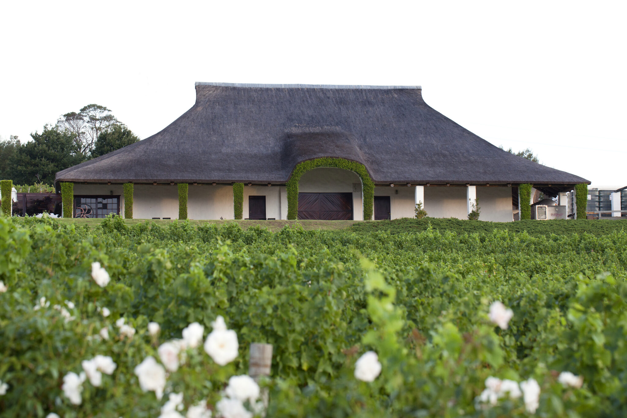 Wineries | Hermanus Tourism