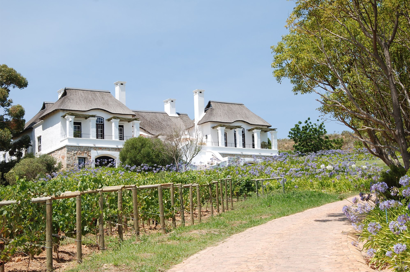 Hermanus SHUTTLE | Hermanus Tourism