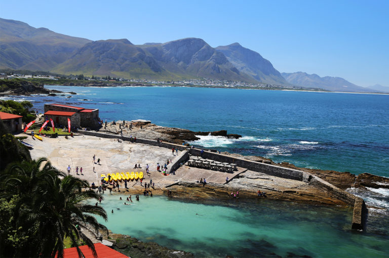 Home | Hermanus Tourism