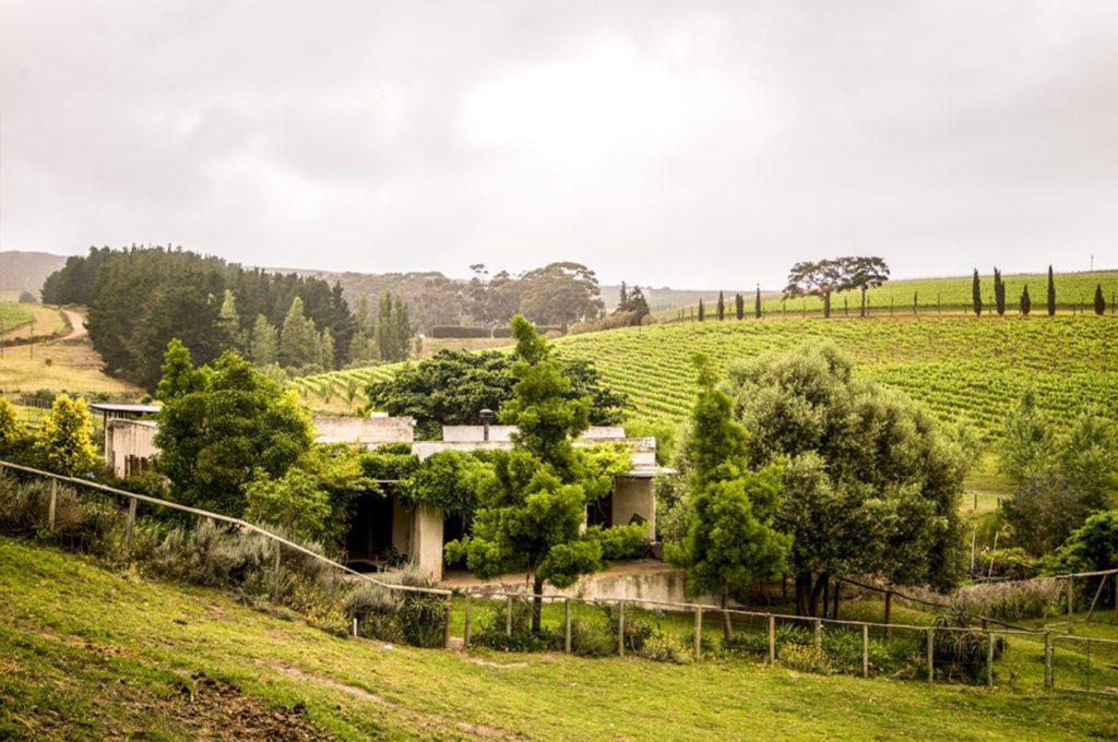 Klein River Farmstead | Hermanus Tourism
