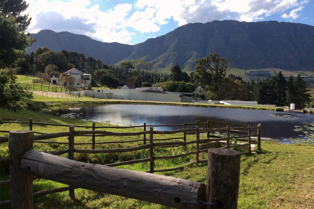 Farm Stays | Hermanus Tourism