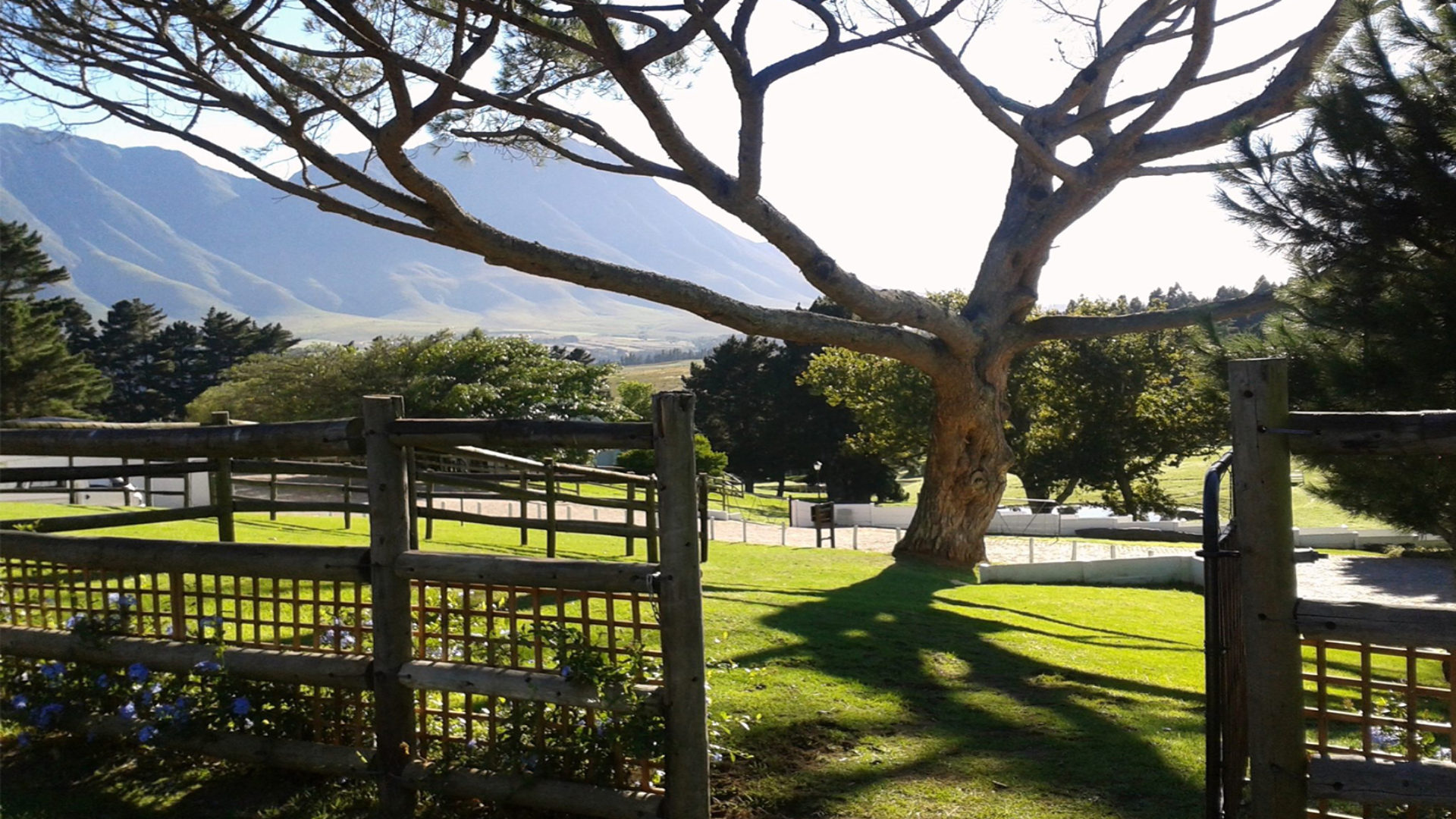 High Season Farm | Hermanus Tourism