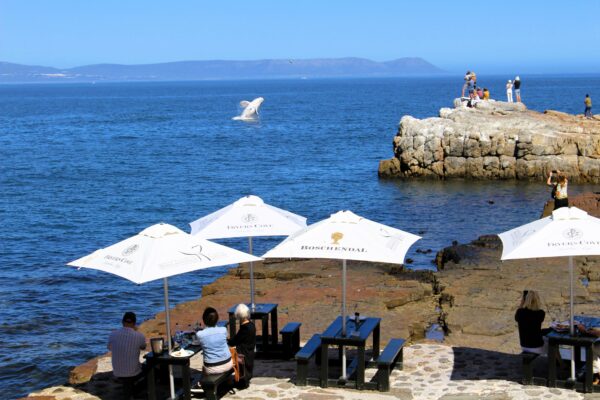 Restaurants | Hermanus Tourism