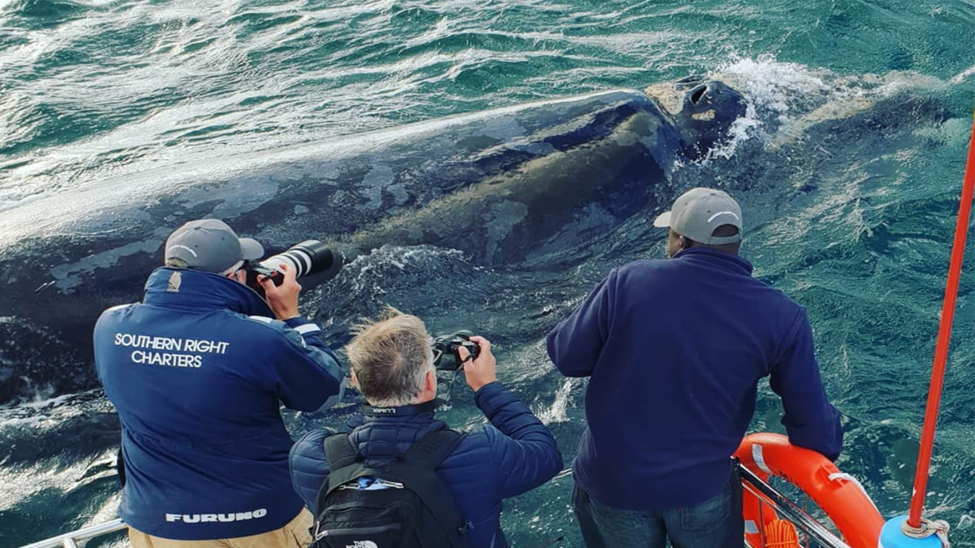 Southern Right Charters | Hermanus Tourism