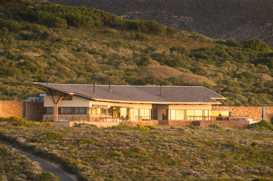 Hermanus SHUTTLE | Hermanus Tourism