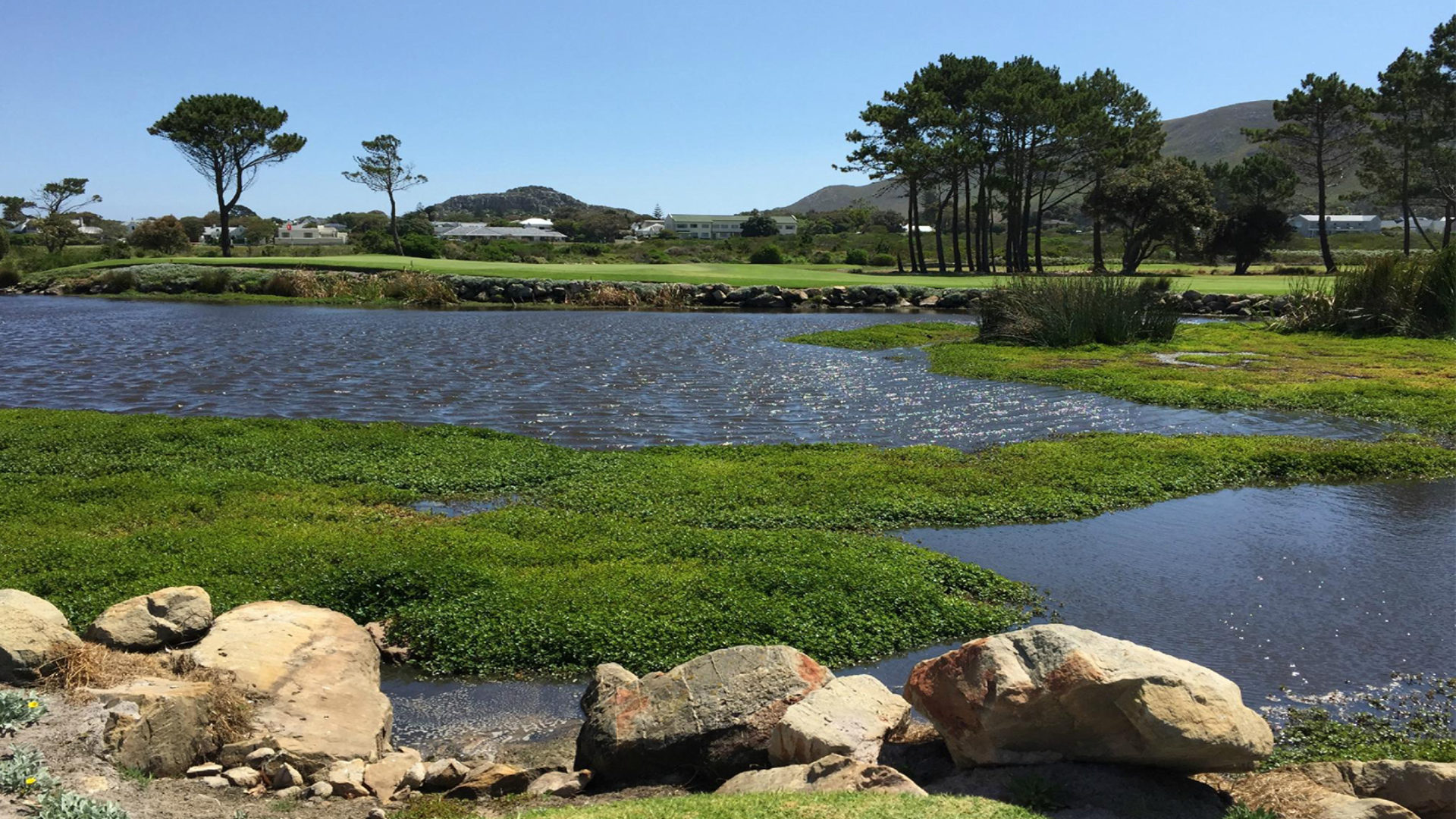 Hermanus Golf Club | Hermanus Tourism