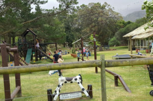 Klein River Farmstead | Hermanus Tourism