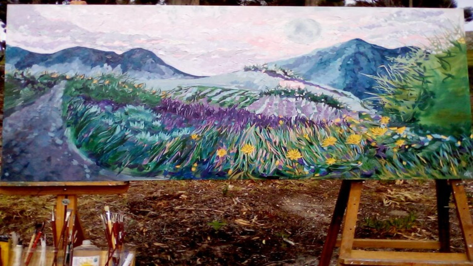 Gillian Hahn Art | Hermanus Tourism