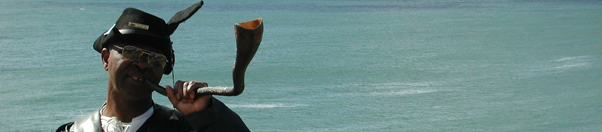 Whale Crier | Hermanus Tourism