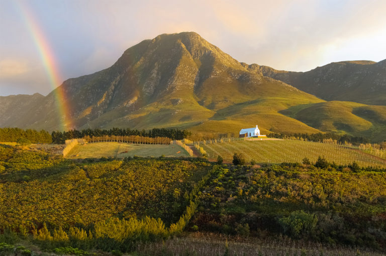 Wine Route | Hermanus Tourism