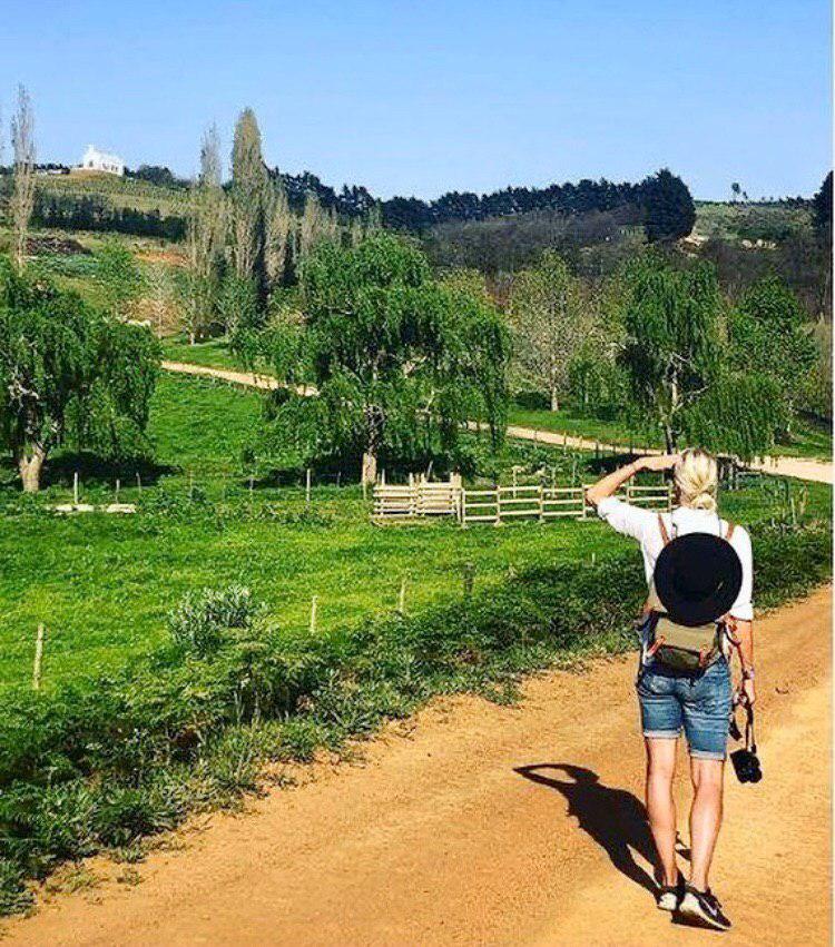 Top Ten Things to Do in Hermanus | Hermanus Tourism