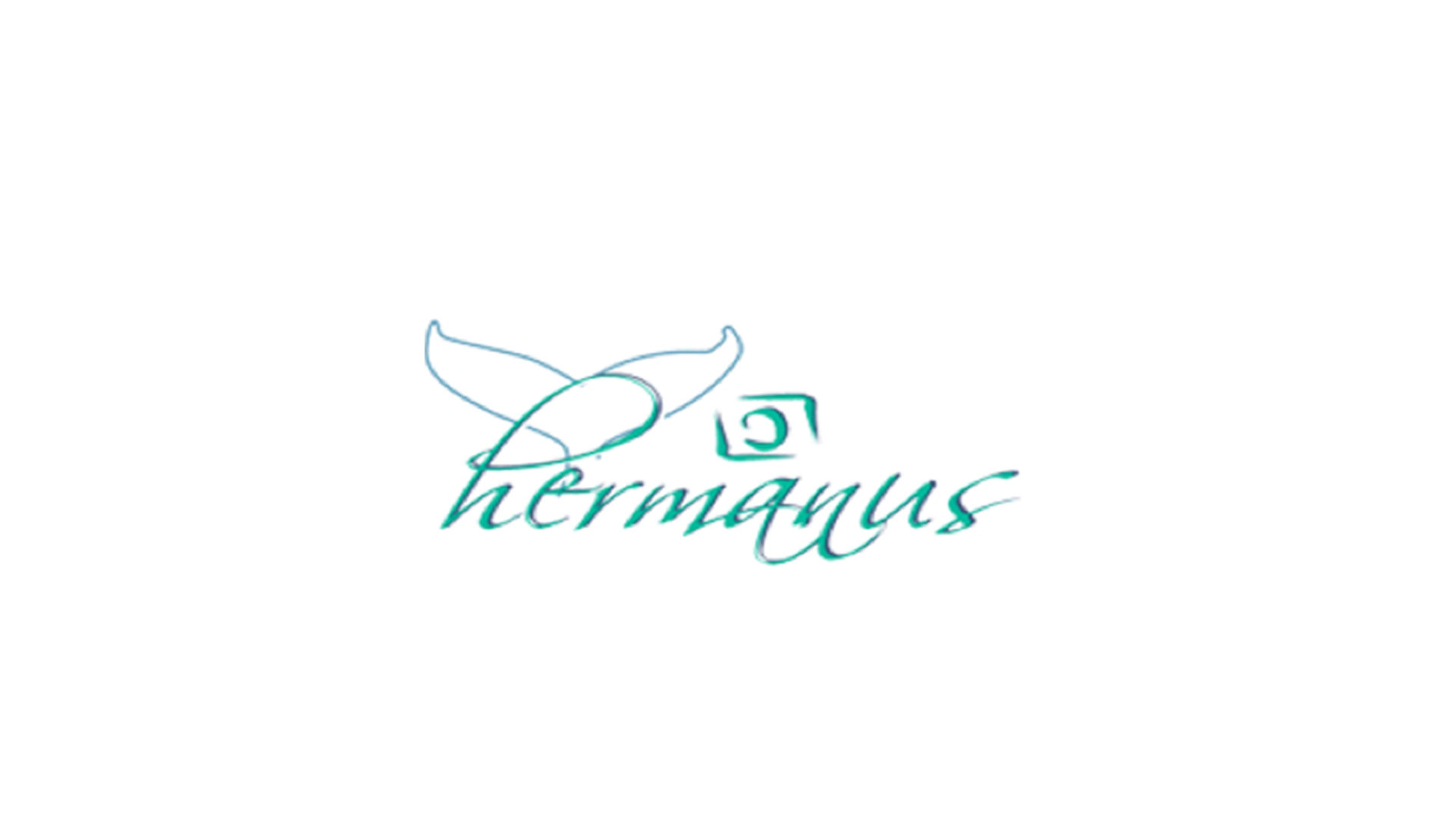 Hermanus Photographic Society | Hermanus Tourism