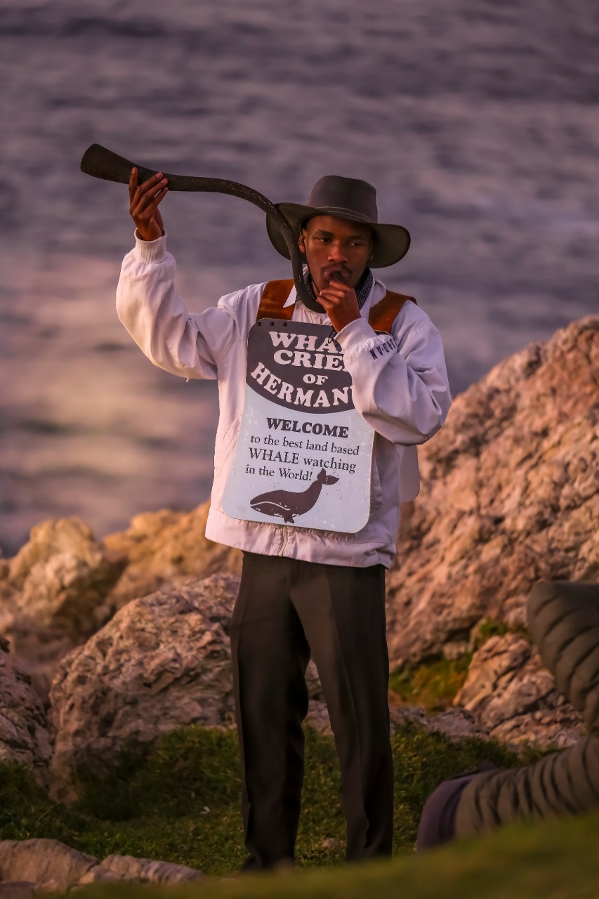 Whale Crier | Hermanus Tourism