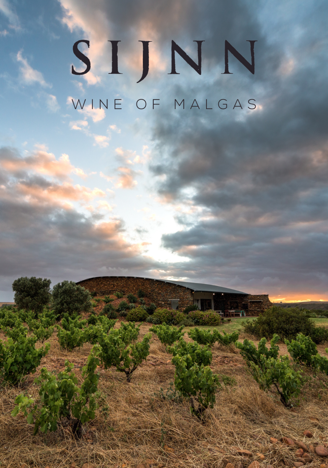 Wineries | Hermanus Tourism
